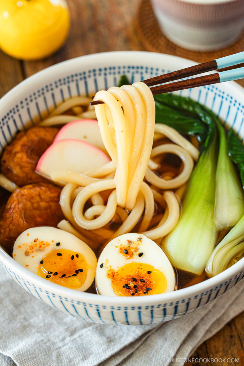 Easy Udon Noodle Soup (Video) • Just One Cookbook