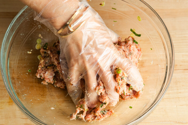 Gyoza Recipe 餃子(ぎょうざ) • Just One Cookbook