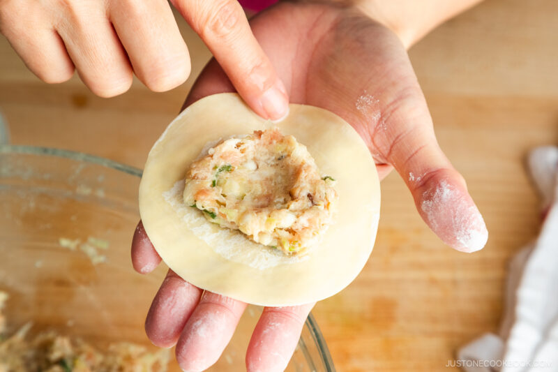 Gyoza Recipe 餃子(ぎょうざ) • Just One Cookbook