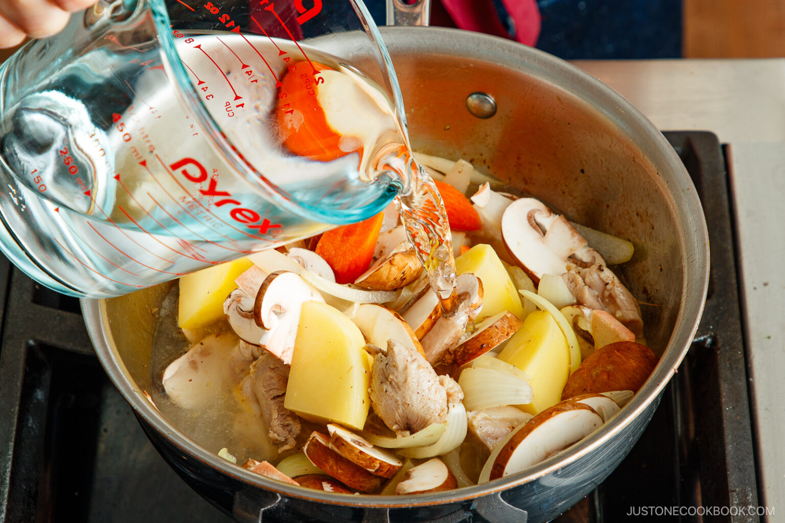 Easy Cream Stew (Video) • Just One Cookbook