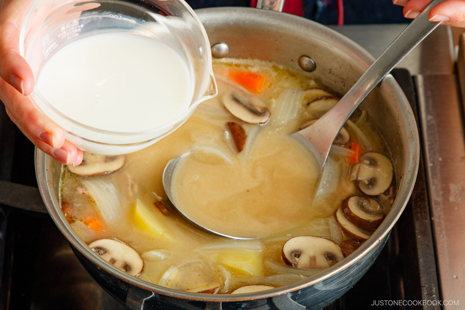 Easy Cream Stew (Video) • Just One Cookbook