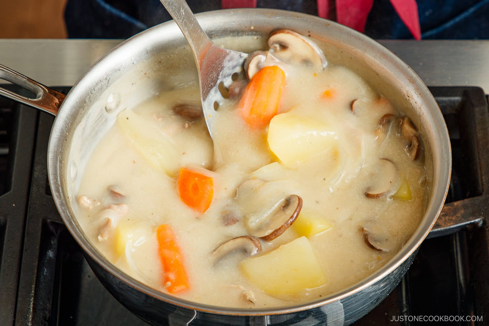 Easy Cream Stew (Video) • Just One Cookbook