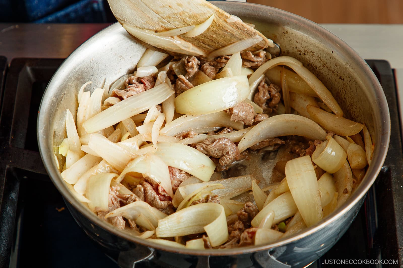 Easy Hayashi Rice (Video) • Just One Cookbook