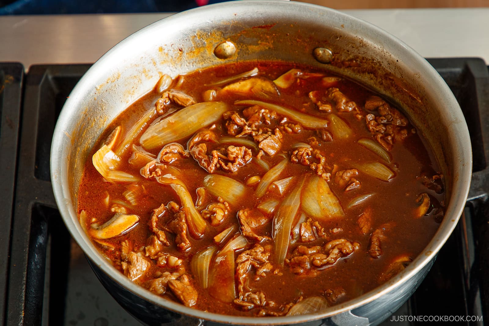 Easy Hayashi Rice (Video) • Just One Cookbook