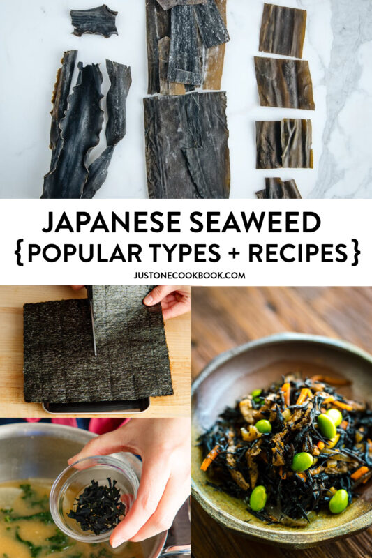 Japanese seaweed guide