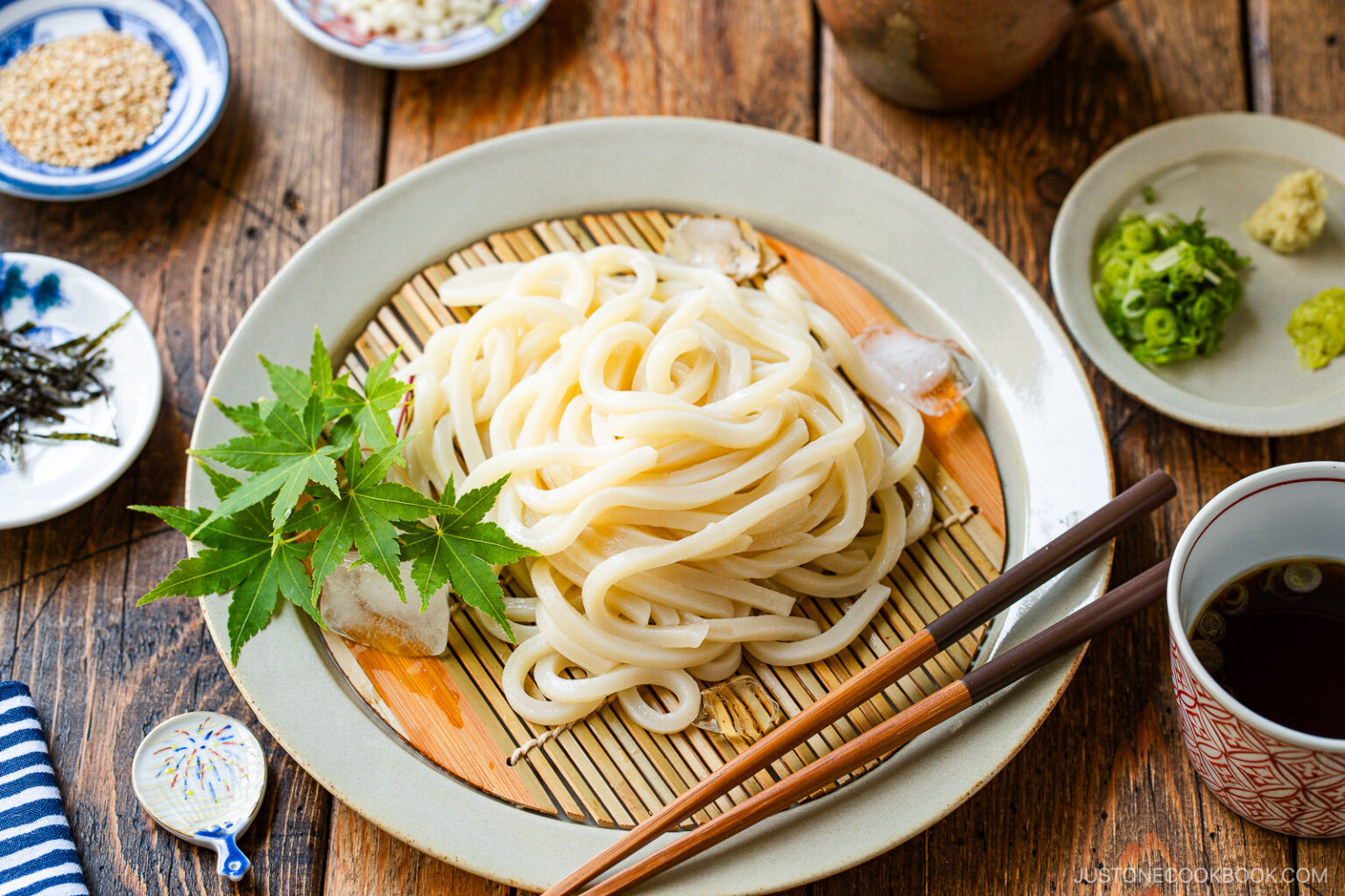 Cold Udon Noodles (Zaru Udon) ざるうどん • Just One Cookbook