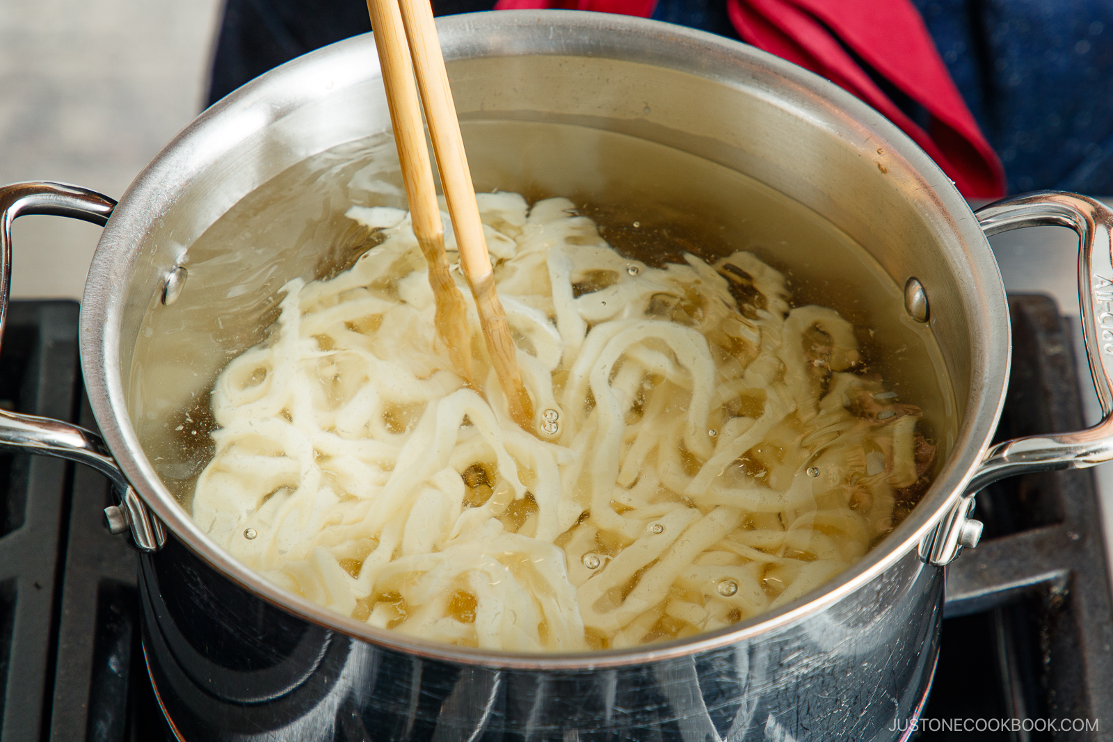 Cold Udon Noodles (Zaru Udon) ざるうどん • Just One Cookbook